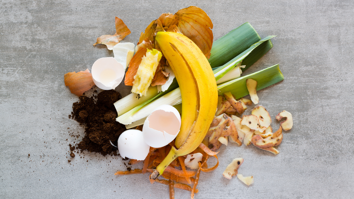 How to recycle food waste – TerraCycle News